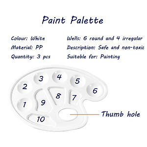 BOOMIBOO Paint Tray Palettes Plastic Pallets with Thumb Hole for Kids,Adults,Students to Acrylic Oil Watercolor Craft Supplies DIY Art Painting,3 pcs