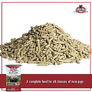 Kalmbach Feeds Squeals of Joy Mini Pig Food, 25 lb