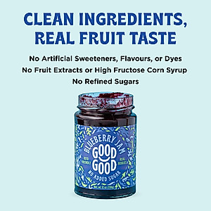 Good Good No Added Sugar Blueberry Jam - Keto Friendly Jelly - Low Carb, Low-Calorie and Vegan - Diabetic Friendly - 12oz / 330g (Pack of 2)
