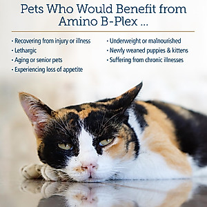Rx Vitamins Amino B-Plex Cat & Dog Supplement - Vitamin B Complex Liquid Plus Amino Acids for Dogs & Cats - Appetite Booster and Cat & Dog Weight Gainer - Cat and Dog Supplements & Vitamins - 8 oz