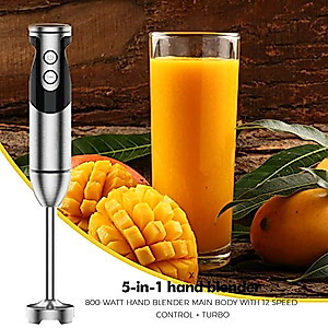3-in-1 Immersion Hand Blender, Powerful 800 Watt 12-Speed Stick Blender with Sturdy Titanium Plated Stainless Steel Blades