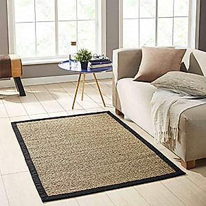 Chesapeake Seagrass Area Rug with Black border (40"x60")
