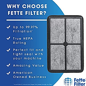 Fette Filter - FLT4010 Replacement Filter Compatible with GermGuardian Filter A for Models AC4010 & AC4020 Series and Black + Decker Model BXAP040 Air Purifiers - Pack of 2