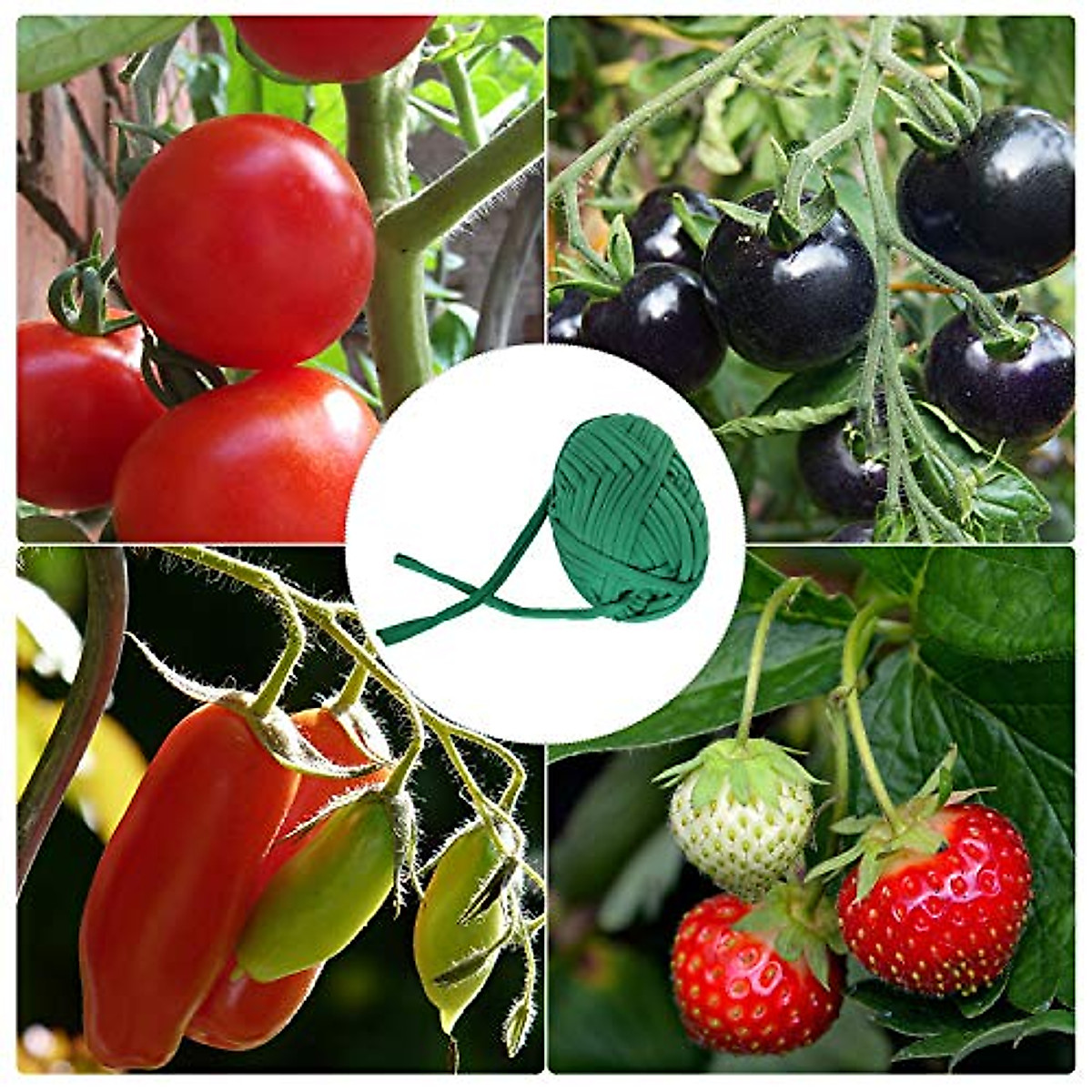 BBTO 30 Meter/ 98 Feet Green Garden Twine Garden Plant Tie Tree Tie Stretchy Plant Support Tie for Garden Office and Home Cable Organizing, Craft Supplies(1 Roll)