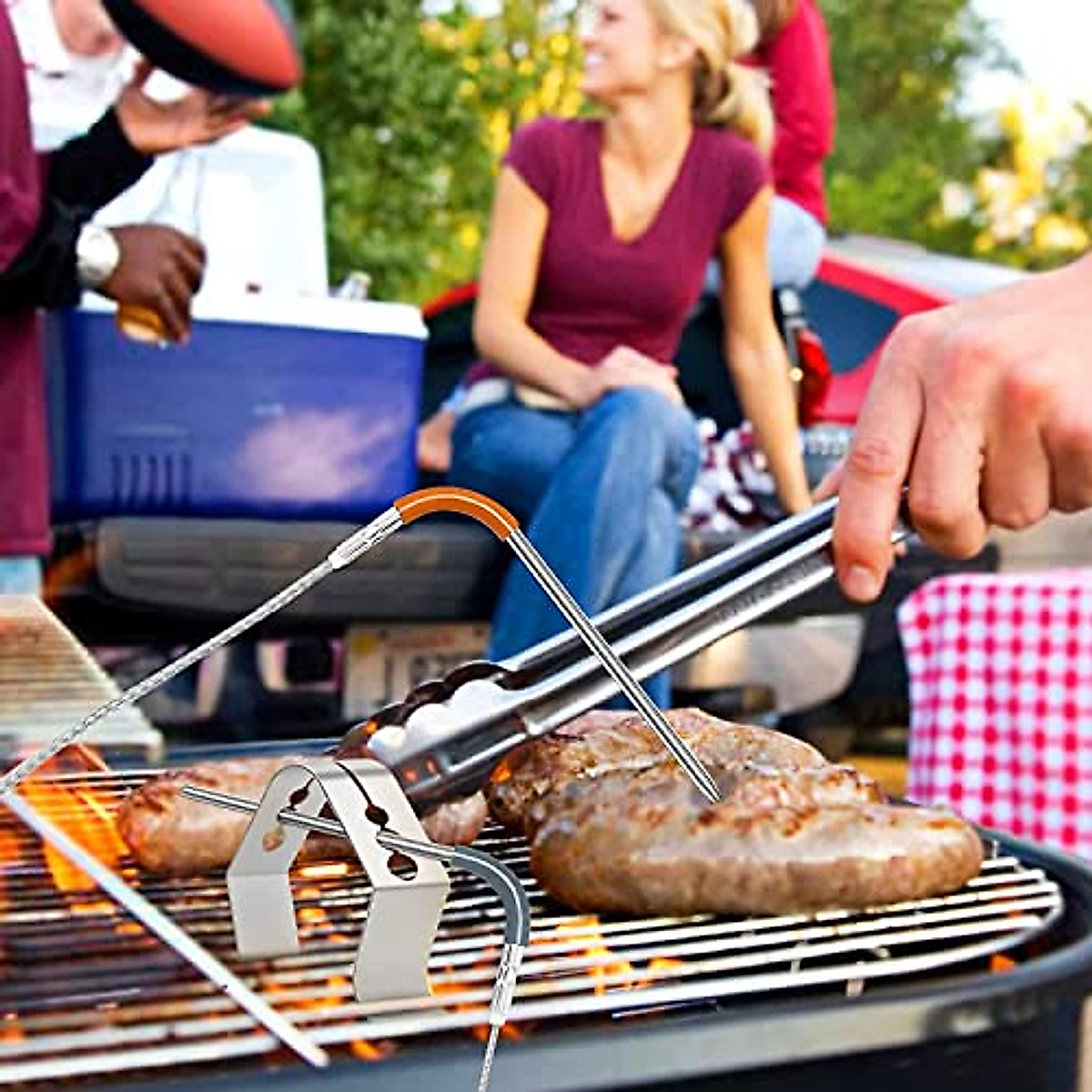 Meat Probe for Weber iGrill (Pack of 2)