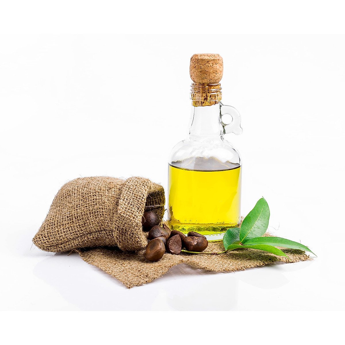 Dr Joe Lab Japanese Camellia Seed Oil - Pure, Cold Pressed, Non-GMO Carrier - 8 oz - for Skin, Hair, Nails, Body, Facial Hair - Hydrating Moisturizing Vegan Nourishing - Packaging May Vary