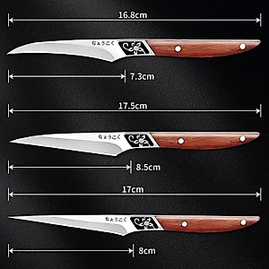 Plys Peeling Knife, Paring Knife Set of 3, Sharp Small Knives for Fruit and Vegetable, Stainless Steel Blade Ergonomic Handles