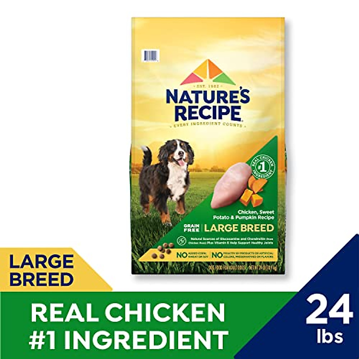 Nature’s Recipe Large Breed Grain Free Chicken, Sweet Potato & Pumpkin Recipe, Dry Dog Food, 24 Pounds (Packaging May Vary)