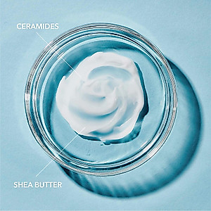 Curel Daily Healing Moisture Body Lotion, Original Formula - 13 Fl Oz (Pack of 2)