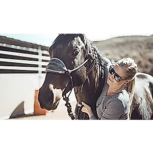 REDMOND Daily Gold Syringe Natural Healing Clay for Gastric Ulcers in Horses (Stress Relief Pre-Race Paste) (Single Pack)