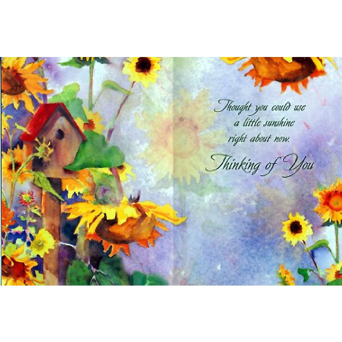 The Art of Judy Buswell - Leanin' Tree Greeting Cards (AST90608) - 20 cards with full-color interiors and 22 designed envelopes