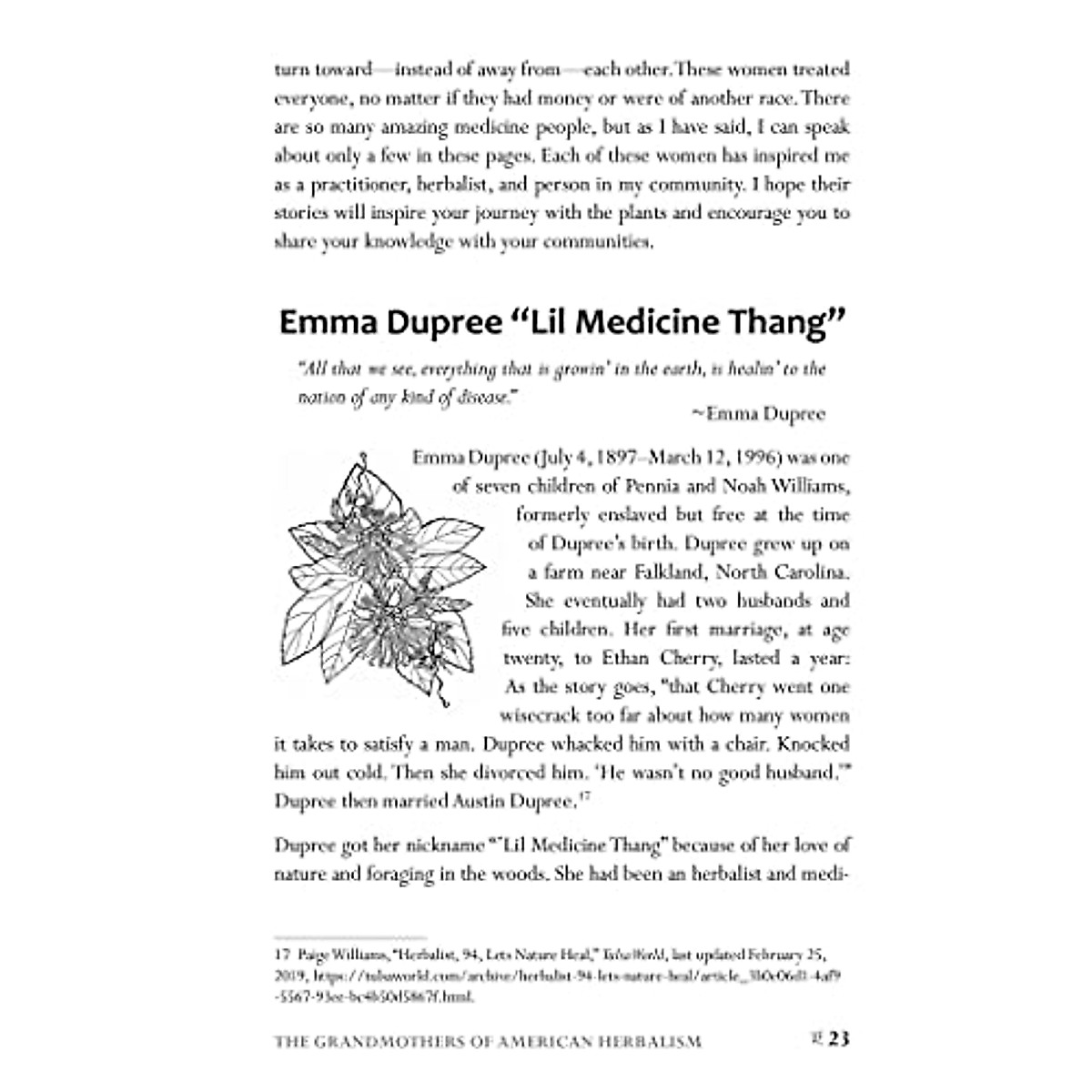 African American Herbalism: A Practical Guide to Healing Plants and Folk Traditions