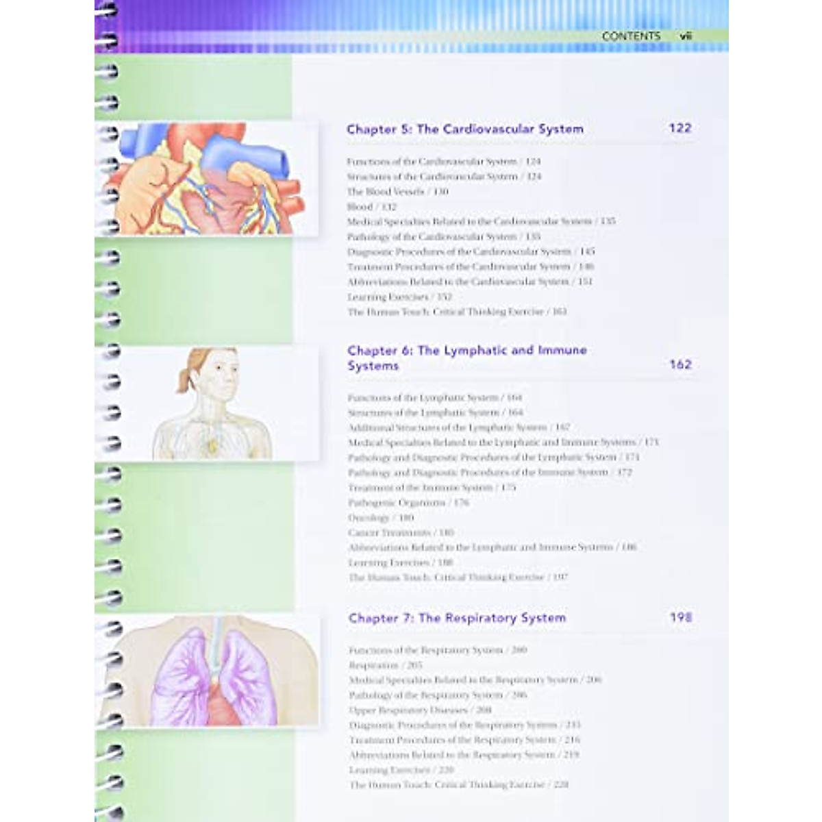 Medical Terminology for Health Professions, Spiral bound Version (MindTap Course List)