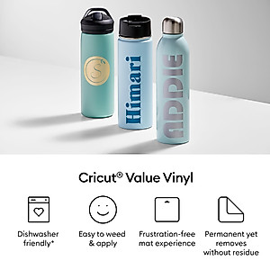 Cricut Value Permanent Vinyl - 50ft Rainbow Sampler, 12in x 12in Sheets (50 Count)