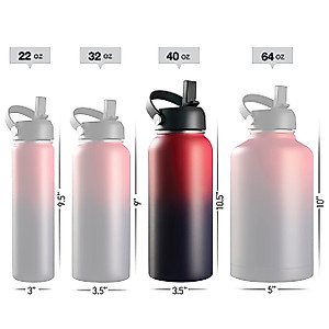 Brewberry Stainless Steel Insulated Water Bottle and Travel Mug for Hot and Cold Beverages, Wide Mouth, Double Wall Insulated Hydration Sports Water Bottle for Hiking, Biking, Outdoor, 40 OZ BPA Free