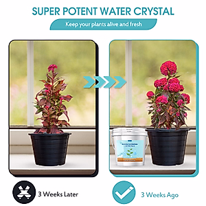 Oycevila 5LB Water Storing Crystals for Plants with Spoon, Water Gel Solves Plant Over-Watering and Drought Problems, Keeps The Soil Moist, Small Water Storing Polymer Crystals for Plants Candle