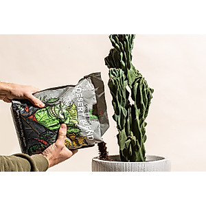 High Drainage Cactus Soil Potting Mix with Mycorrhizal Fungi - 8 Pounds / 4 Quarts of Soil for Succulents and Cactus - Slightly Acidic, Gritty Soil for Healthy Indoor Plants - Spike & Bloom