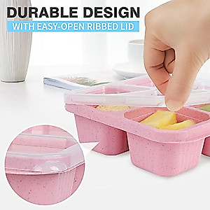 buluker 4 Pack Bento Snack Containers Set， 4 Compartment Food Storage Containers Wheat Straw Meal Prep Lunch Box Plastic Food Storage Containers, Microwave and Dishwasher Safe (4colour)