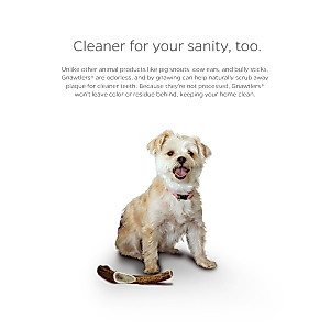 Pet Parents Gnawtlers® - Premium, Naturally Shed, All Natural Elk Antler Dog Chew, Specially Selected from The Heartland Regions (Medium)