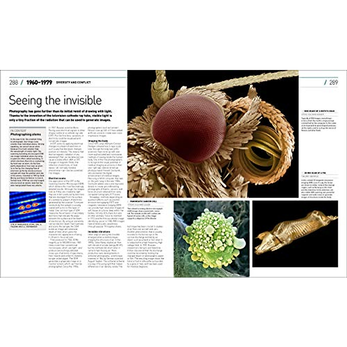 Photography: The Definitive Visual History (DK Definitive Cultural Histories)