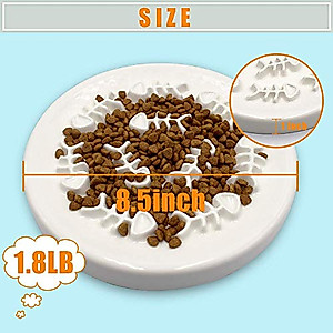 Slow Feeder Cat Bowl,Cat Puzzle Feeder Ceramic Dish with Fish Bone Design,Fun Interactive Slow Down The Eating Speed of Pets,Against Bloat,Indigestion