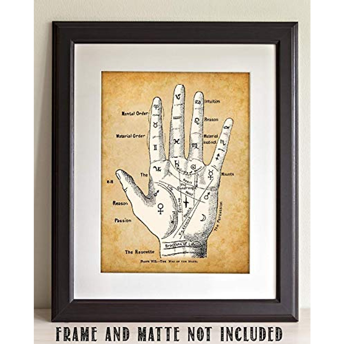 Palm Reading Divination Chart - Classic Fortune Teller Decor, Chiromancy Wall Art, Gift for Oddity Palm Readers, Palmistry and Astrology Fans, 11x14 Unframed Art Print Poster