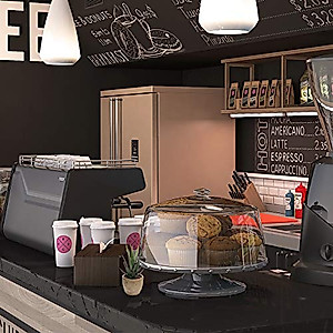 Coitak Artificial Succulent Plants Potted, Assorted Decorative Faux Succulent Potted Fake Cactus Cacti Plants with Pots, Set of 5