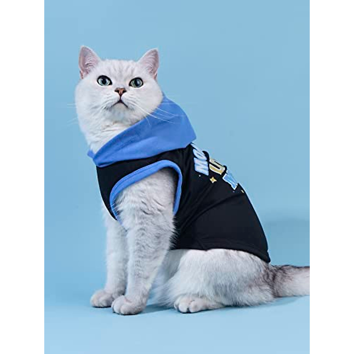 QWINEE Mom Boy Dog Hooded Tank Tops Letter Print Cat Puppy Hoodie Vest Sleeveless Pullover Dog Shirt Stretchy Pet Clothes for Small Medium Large Cats Dogs Kitten Blue M