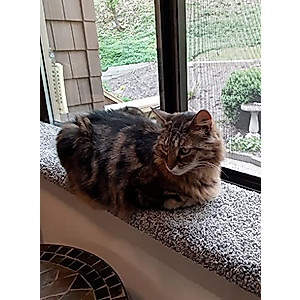 PURRCHED Cat Perch, Carpeted Cat Window Perch, Cat Bed, Cat Seat, Made in The USA, Sturdy, Safe and Easy to Install.