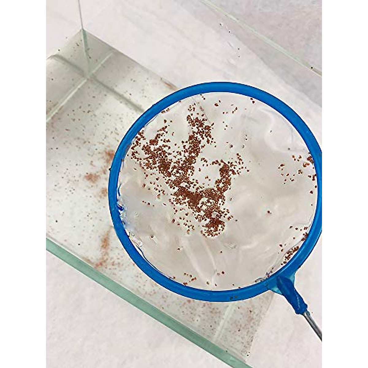 GankPike Aquarium Fish Net Skimmer Net – 3 Pcs Quick Catch Mesh Wire Net Safe for All Fish – 3 Inches, 4 Inches, 5 Inches