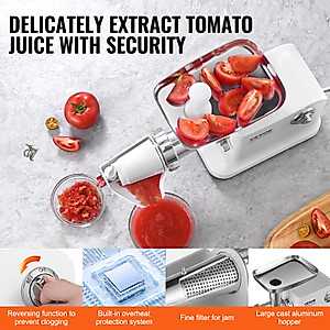 VEVOR Electric Tomato Strainer, 700W Tomato Sauce Maker Machine, 5.5 LBS/Min Food Strainer and Sauce Maker, Pure Copper Motor Food Mill with Reverse Function for Tomato Strawberry Blueberry Sauce