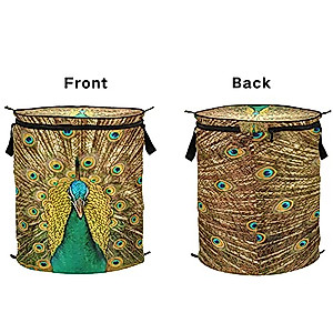 xigua Large Pop-Up Laundry Basket with Zipper Lid, Round Collapsible Storage Basket,Dirty Clothes Hamper for Bedroom, Beautiful Peacock