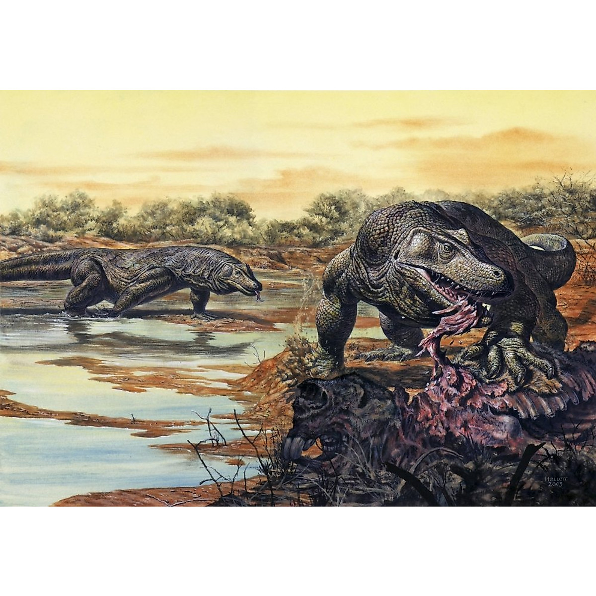 Posterazzi Megalania eating his prey Pleistocene Epoch Australia Poster Print, (34 x 23)