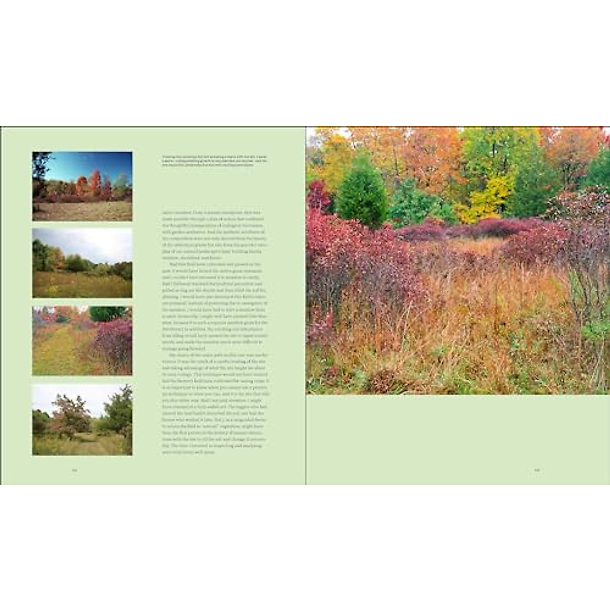 Garden Revolution: How Our Landscapes Can Be a Source of Environmental Change