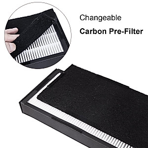 BBT BAMBOOST Filter B Replacement Fit for Germguardian Air Purifier FLT4825 Filter-b Models AC4825 AC4300 AC4800 AC4900,AP2200CA,BXAP148(2pcs HEPA True Filters and 4 Pieces Carbon Filters)