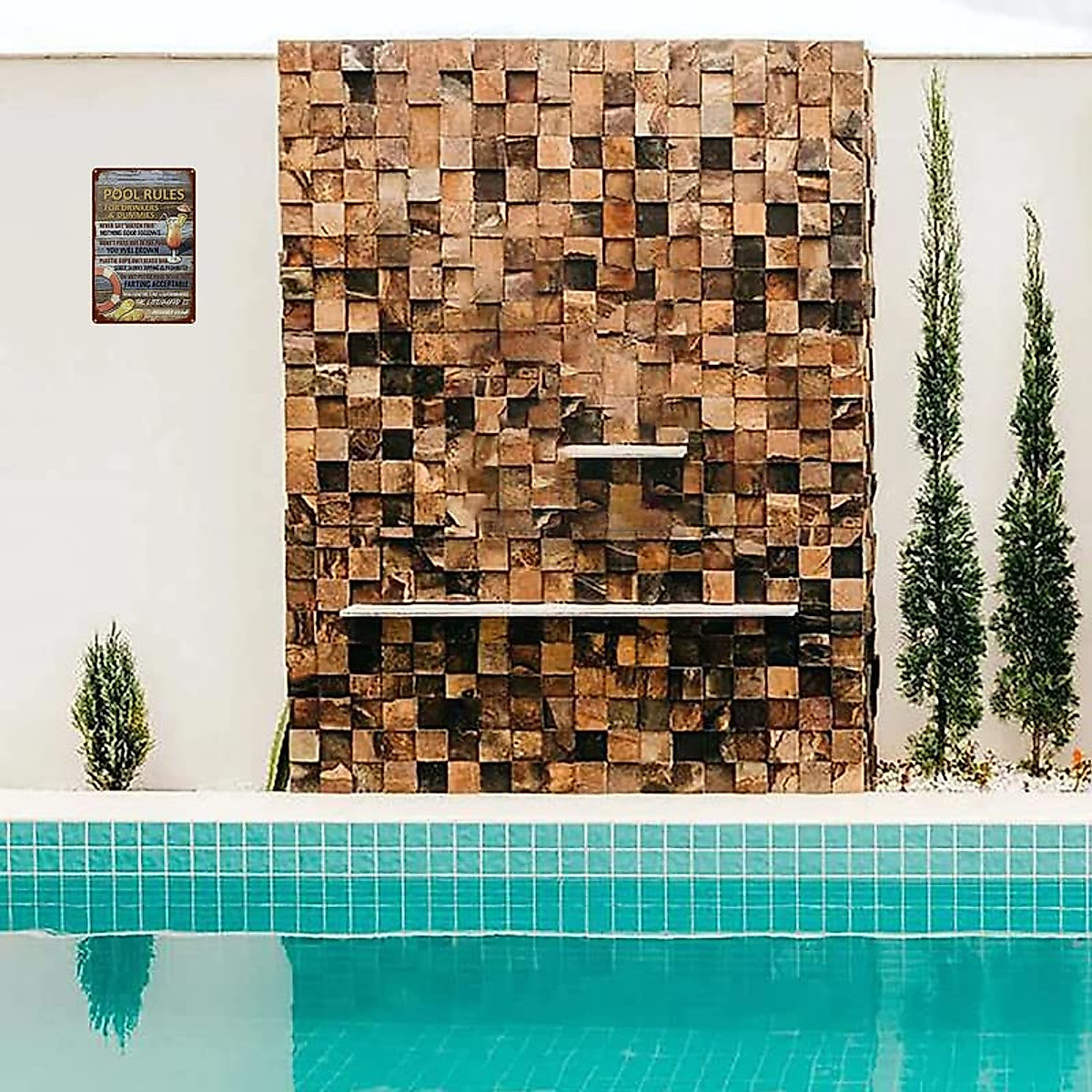 Pool Metal Signs Swimming Pool Rules House Decoration, Swimming Pool Rules Funny Signs For Club Bar Pub Gym Garden Gate Drinking Fountains Poster Tin Sign Metal Sign 8x12 Inch