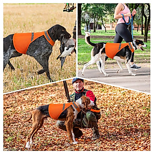 Dog Jacket High Visibility Safety Reflective Dog Vest for Small Medium Large Dogs (Large, Orange)
