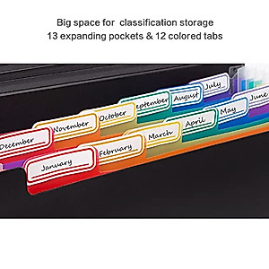 13 Pockets Small Accordion File Organizer, Expanding File Organizer Small for Coupon, Receipt, Ticket, Tax Item, Bill File, Paper Scraps