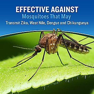 Cutter Backwoods Dry Insect Repellent, Mosquito Repellent, 25% DEET, Sweat Resistent, 4 Ounce (Aerosol Spray)