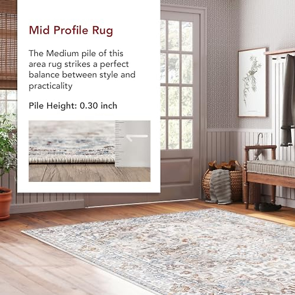 nuLOOM Cady Machine Washable Transitional Area Rug, 4x6, Beige