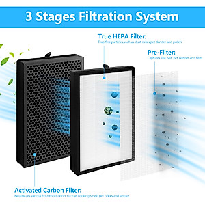 Breabetter 2-Pack H05 True HEPA Replacement Filter Compatible with HIMOX H05 Purifier Only, 3-in-1 Filtration Filter