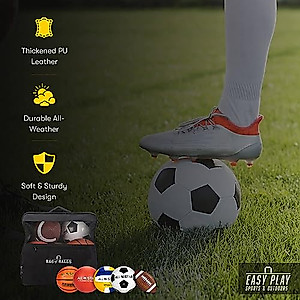 Complete Sports Ball Set - Outdoor Sports Balls in Carry Bag - Sport Balls Kit with Pump for Adults and Kids - Branded Soccer Ball, Basketball, Volleyball, American Football, Dodgeball Playground Ball