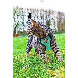 AWOOF Reflective Kitten Harness and Leash Escape Proof with Car Seat Belt, Adjustable Cat Puppy Walking Jacket with Metal Leash Ring, Soft Breathable Small Pet Vest (S)