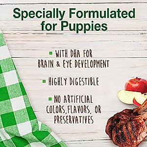 Nylabone Healthy Edibles All-Natural Puppy Chew Treats for Large Breed Puppies Lamb & Apple Medium 2 Count (Pack of 1)