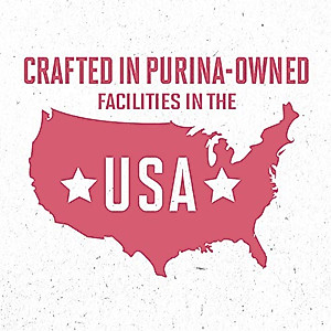 Purina ONE Natural, Sensitive Stomach Dry Dog Food, +Plus Skin & Coat Formula - 16.5 lb. Bag