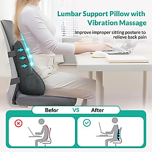 Snailax Heated Lumbar Support Pillow for Office Chair, Back Support Pillow for Car, Adjustable Heat and Vibration, Ergonomic Back Cushion, Improve Posture & Pain, Lower Back Massager,Gifts