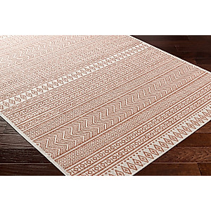 Hauteloom Howie Hallway, Kitchen Patio Outdoor Runner Rug - Beige, Orange, Brown - 2'7" x 12'