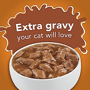 Purina Friskies Gravy Wet Cat Food Variety Pack, Extra Gravy Chunky - (24) 5.5 oz. Cans