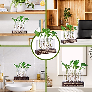 WelDesine Goodbye Gifts for Coworkers Leaving Gifts for Women, Planter Terrariums, Farewell Gifts for Friends, Going Away Gift for Boss Leaving Job, Retirement New Job Gifts for Men on Desk, SPJ001