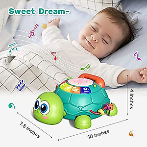 CUTE STONE Baby Toys 6 to 12 Months, Musical Turtle Crawling Baby Toys for 12-18 Months, Early Learning Educational Toy with Light & Sound,Toy for Infant Toddler Boy Girl 7 8 9 10 11 12 Month